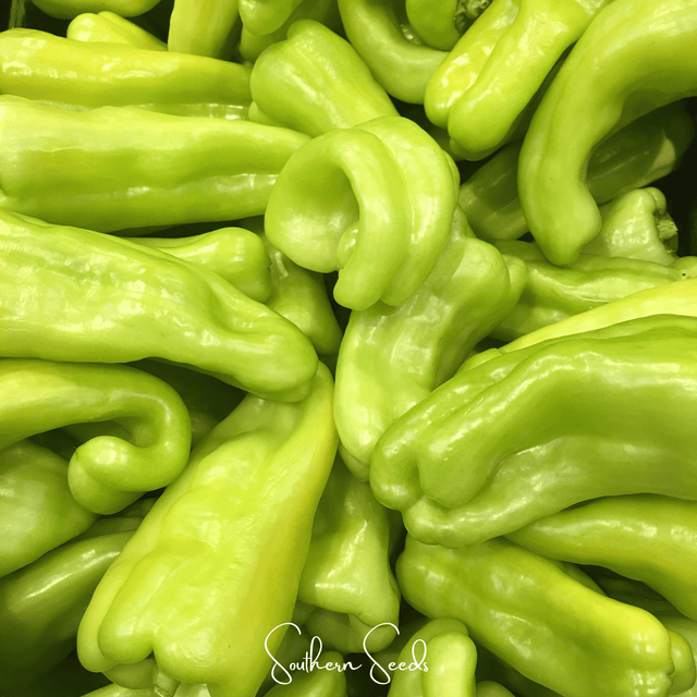 Cubanelle Sweet Pepper – 25 Seeds – Trendoli