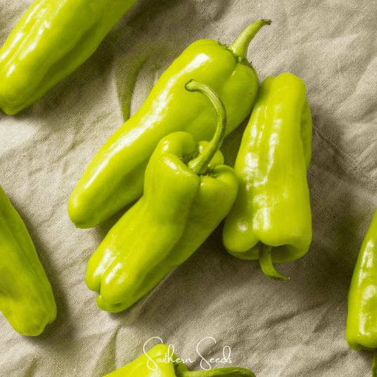 Cubanelle Sweet Pepper – 25 Seeds – Trendoli