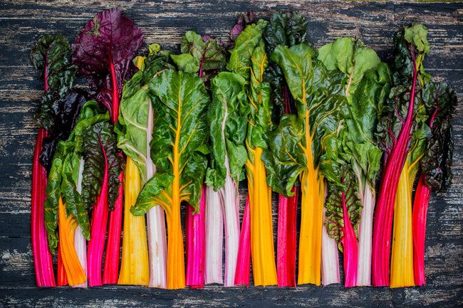 150 Mixed Colors NORTHERN LIGHTS SWISS CHARD (Perpetual Spinach) Beta ...